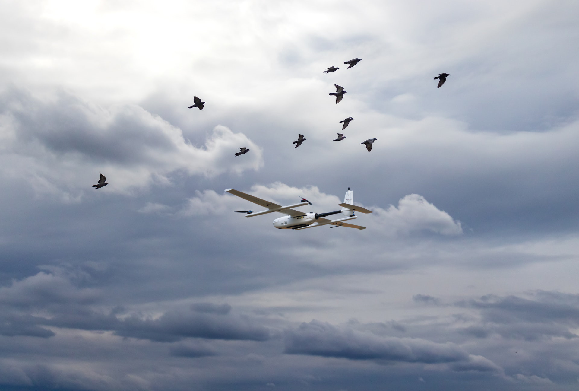 How Fast Can a Drone Fly? Top Speeds of Various Types - JOUAV