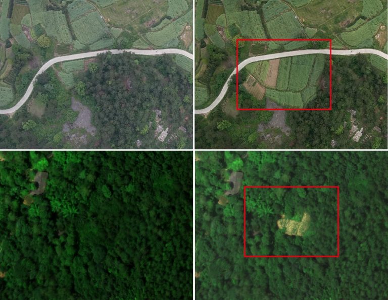 Habitat Fragmentation: Causes, Effects, and Solutions - JOUAV