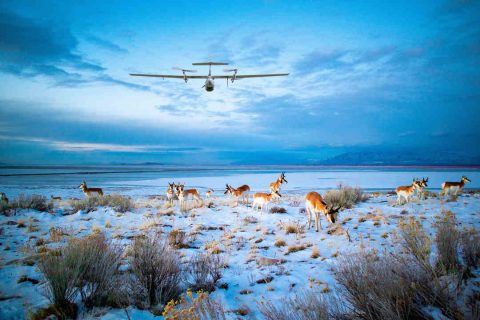 Wildlife Drones | How to Use Drones for Wildlife Conservation? - JOUAV