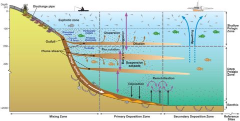 Mine Tailings: Management, Treatment & Environmental Impact - JOUAV