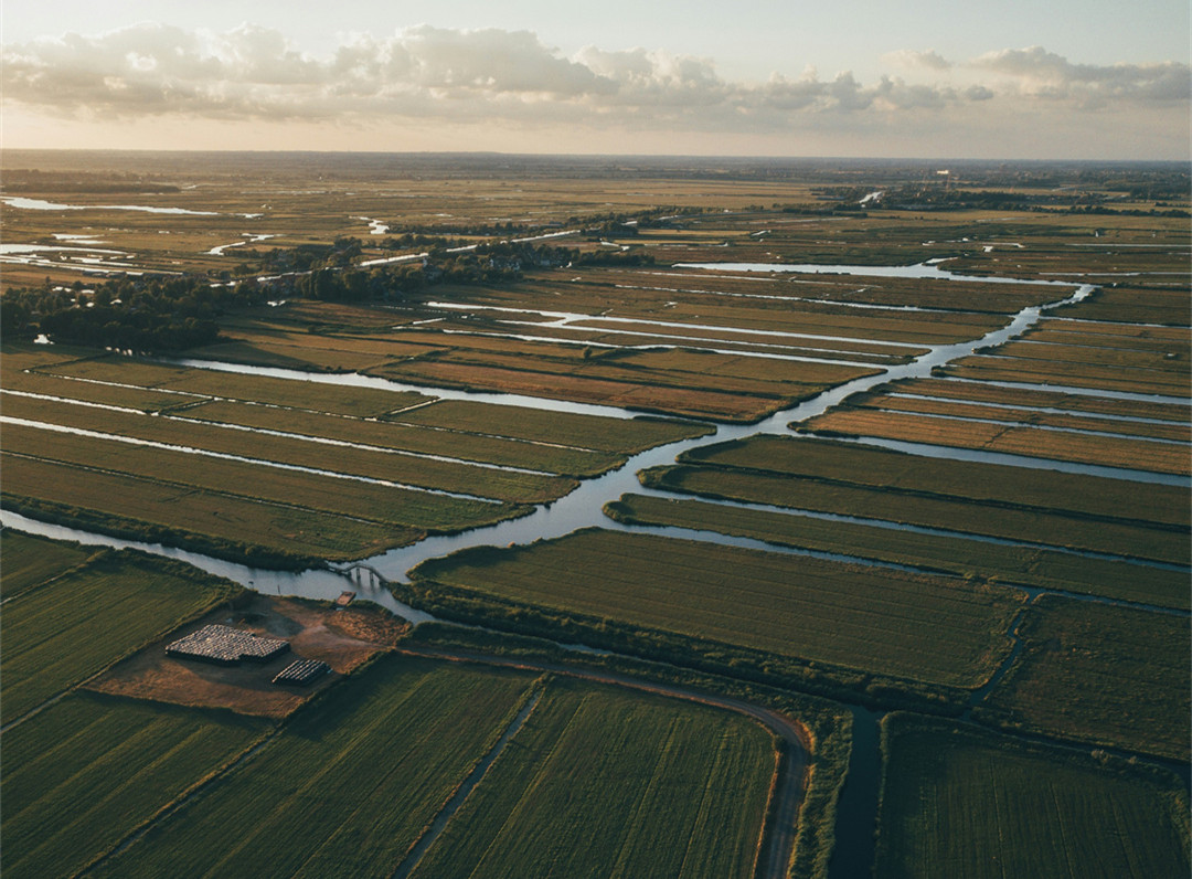 Waterlogging in Agriculture: Causes, Effects, and Solutions - JOUAV