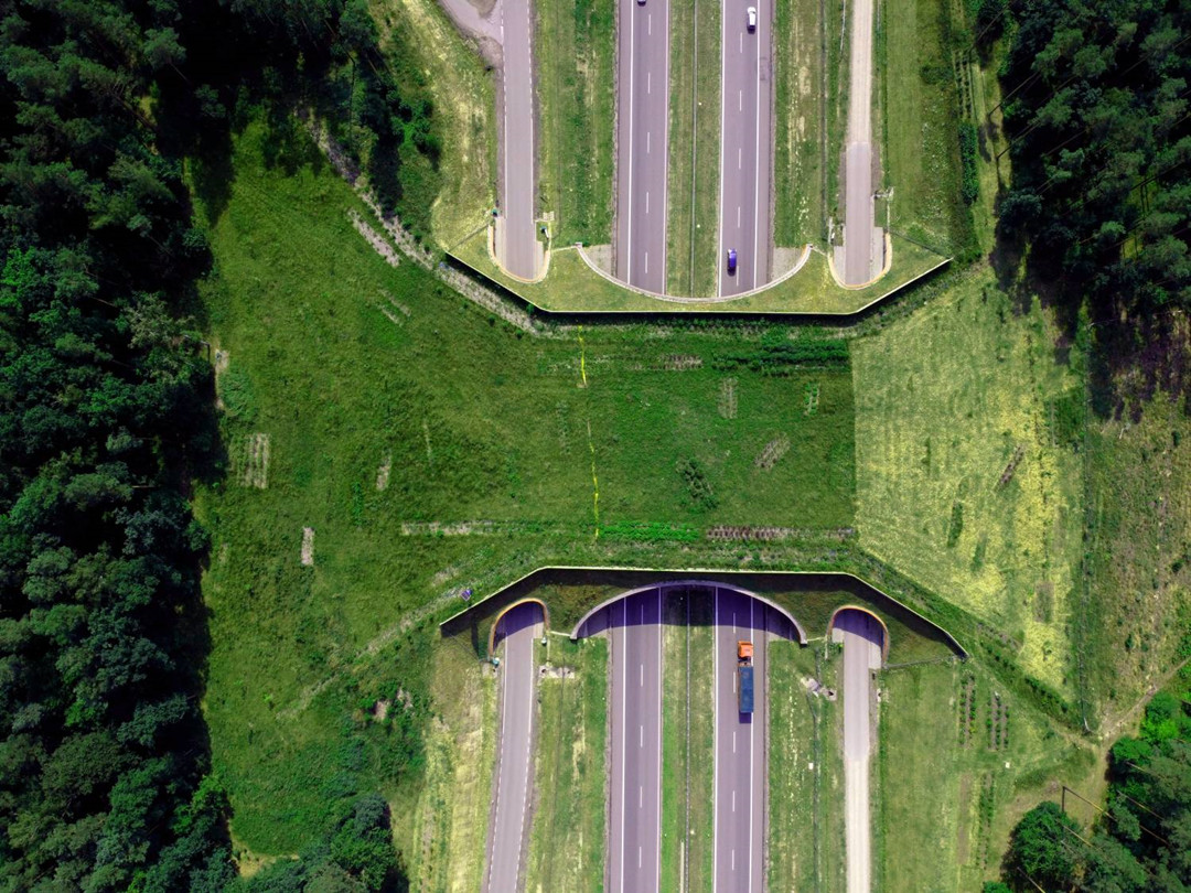 Habitat Fragmentation: Causes, Effects, and Solutions - JOUAV